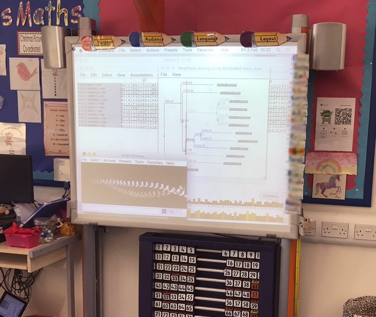 Jalview demonstration at Seaview Primary School - Jalview